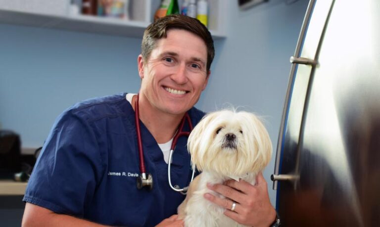 Local Vet in Fort Worth | Animal Hospital Serving All Pets
